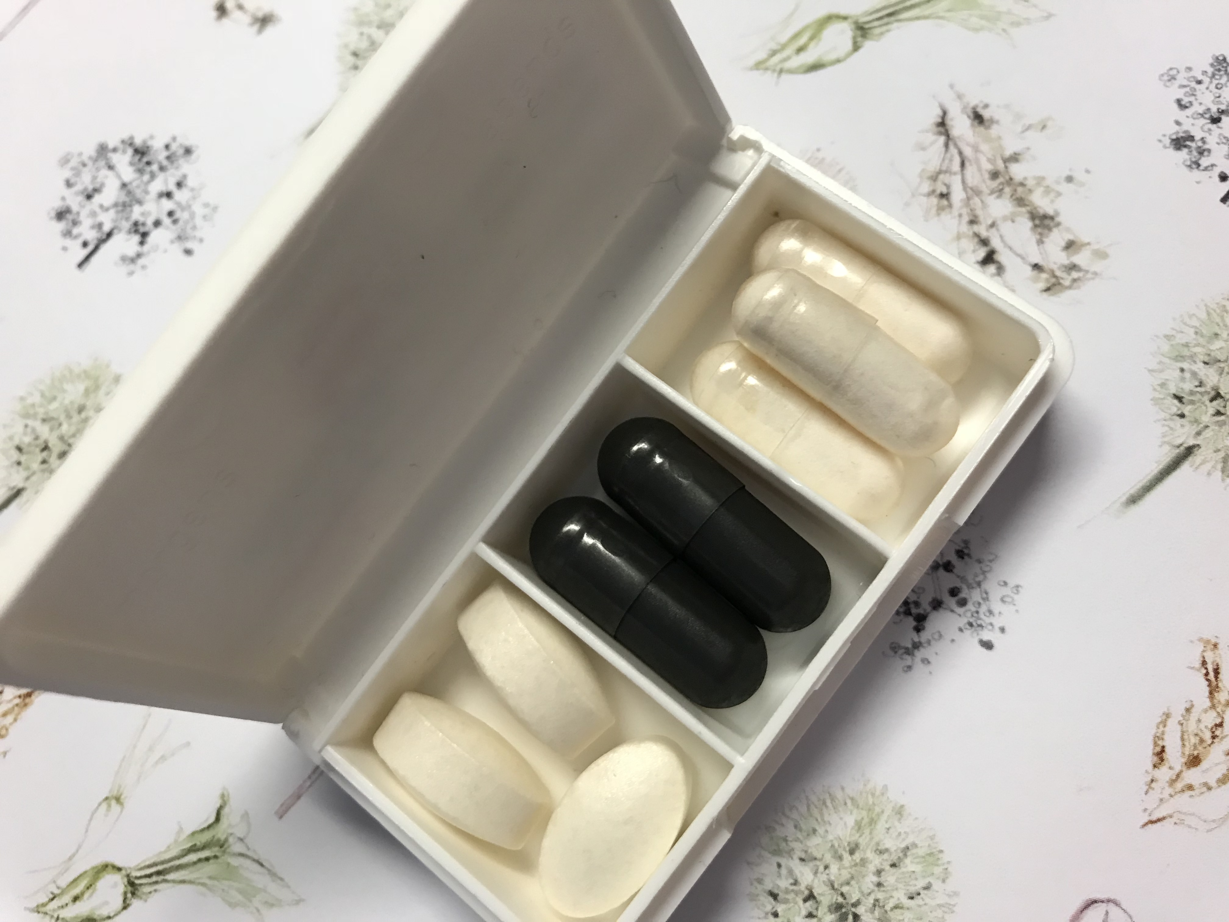 Live Bacteria Probiotic Capsules, Enjoy Christmas food | Just For Tummies